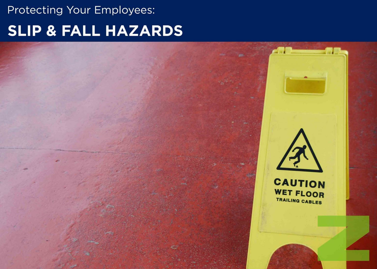 SLIP & FALL HAZARDS - Zorn Insight